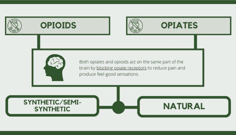Opioids vs. Opiates: Similarities and Differences - Woburn Wellness
